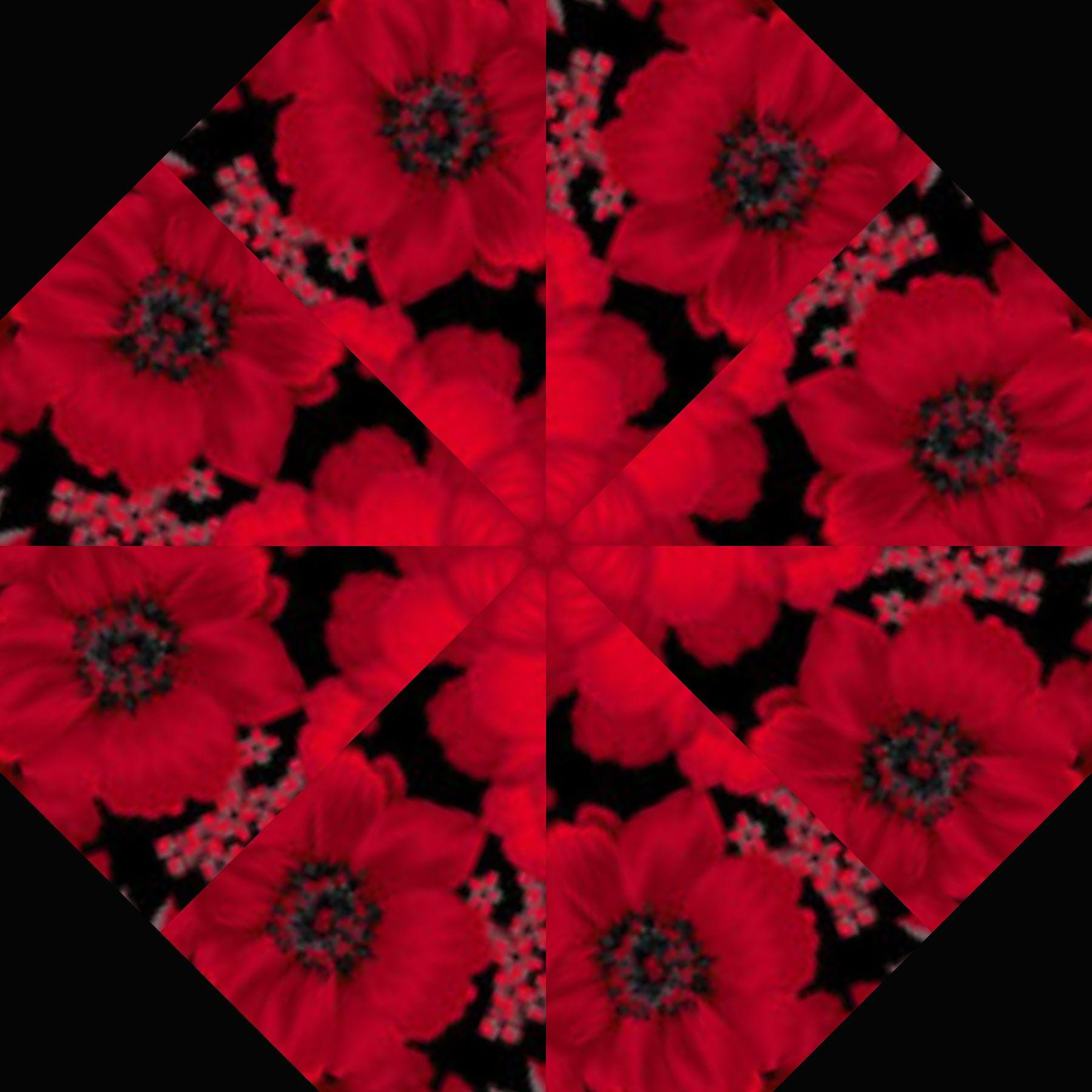 Pre-cut Quilt Kit, Red and Black Floral Kaleidoscope Quilt Kit, Pre Cut ...