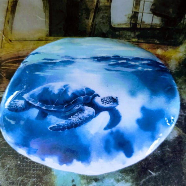 Painted Rocks Turtle - Etsy