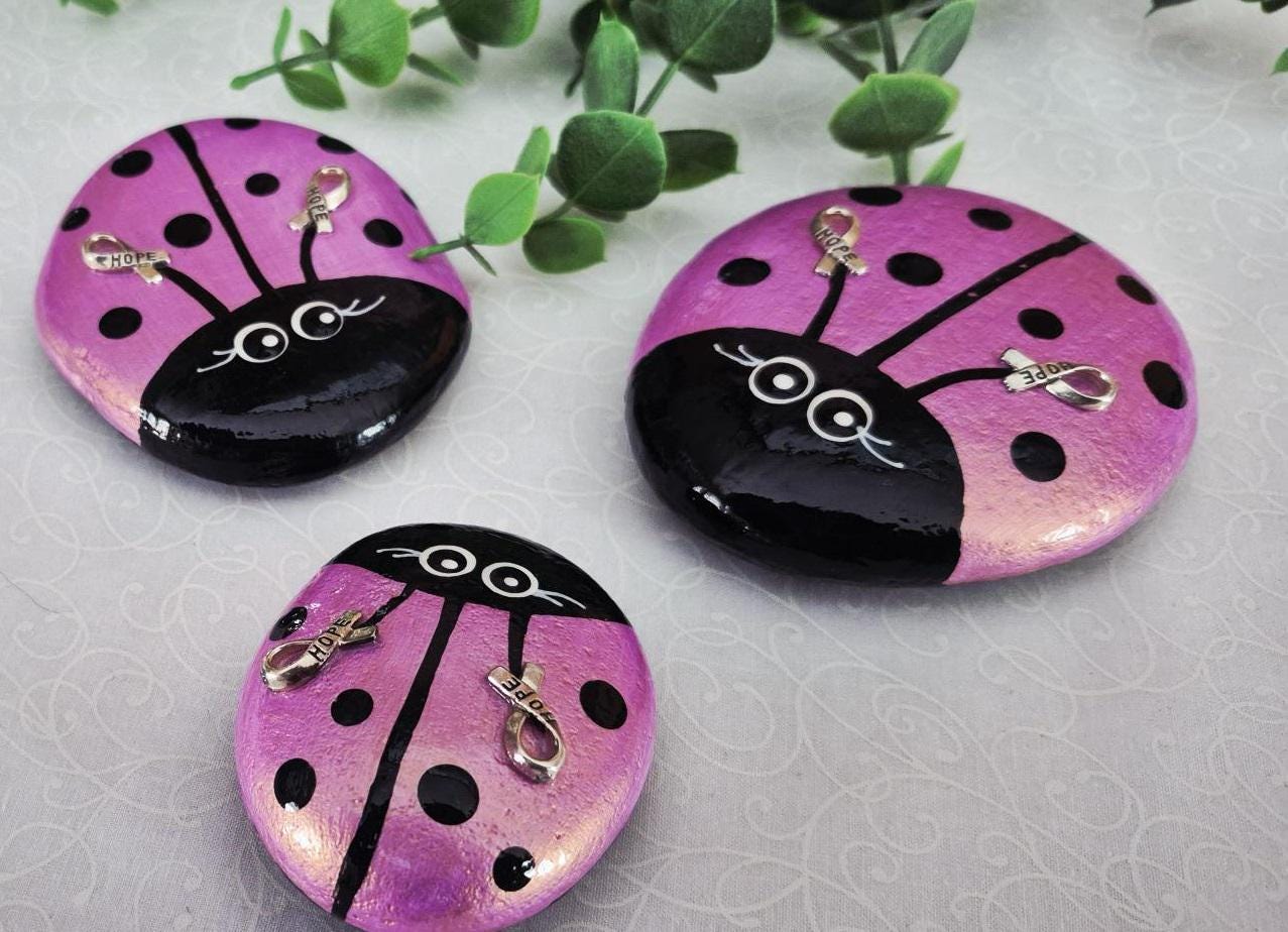 Breast Cancer Gift, Painted Ladybug Rock, Rock Painting, SET OF 2 ...