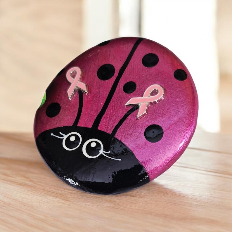 Breast Cancer Gift, Painted Ladybug Rock, Rock Painting, SET OF 2 ...