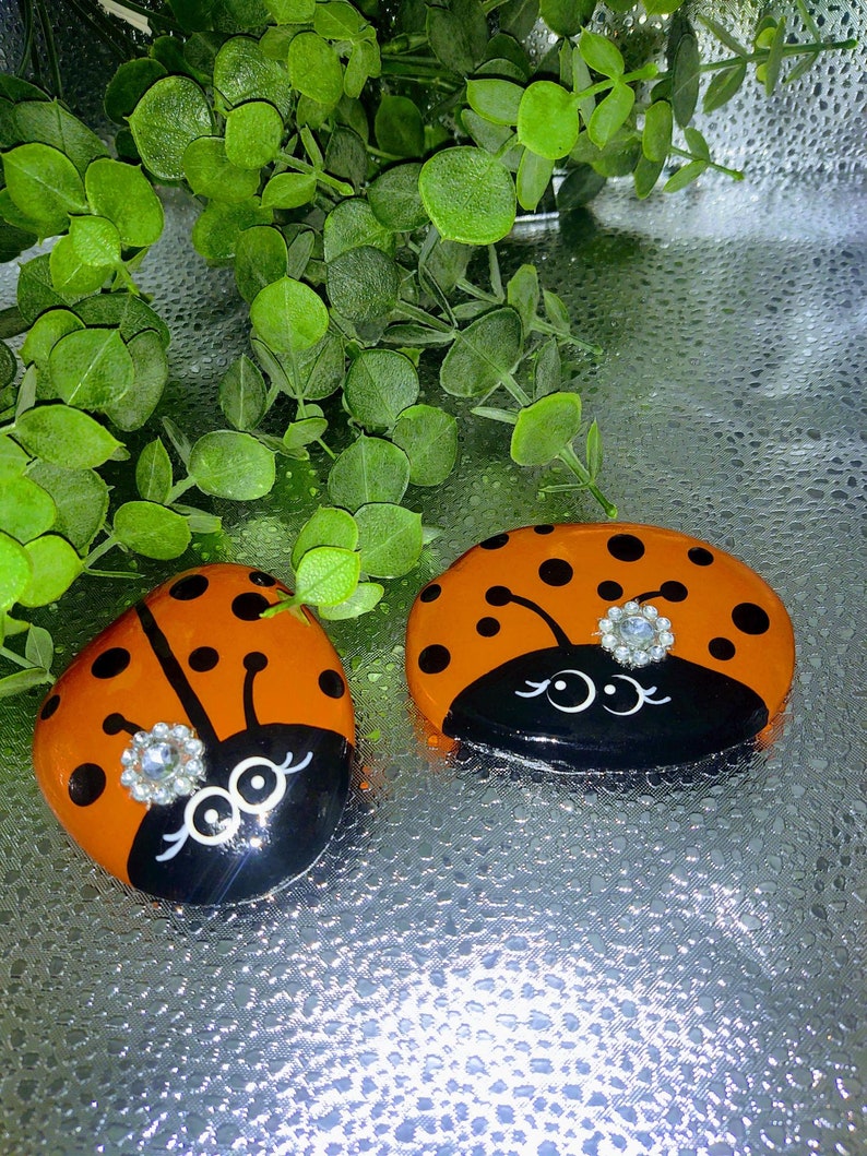 Painted Rocks, Orange Friendship Gift, Ladybug Rock, Rocks, Hand ...
