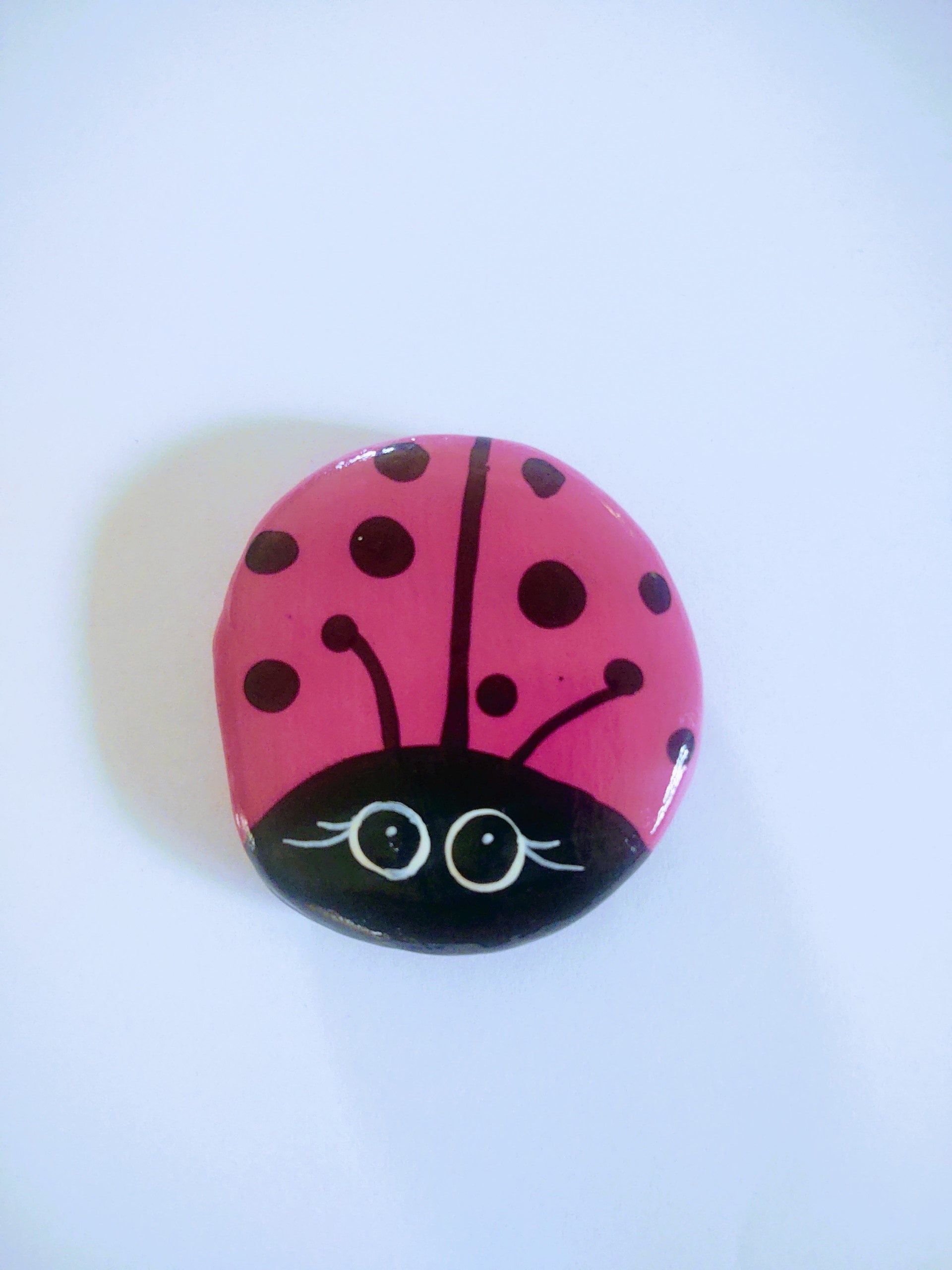 Painted Ladybug Rock / Rock Painting / Ladybug Rocks / Pink - Etsy