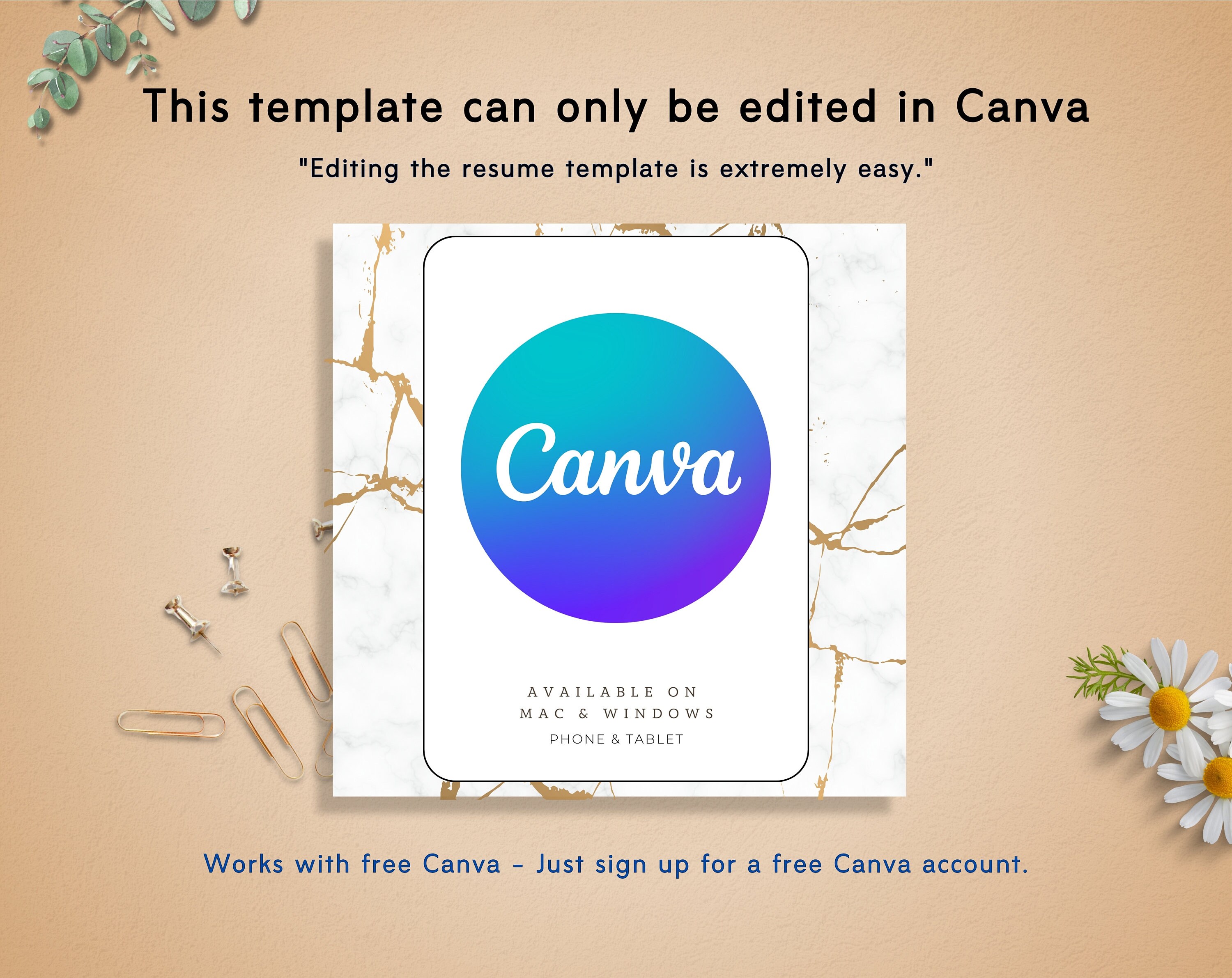Professional & Modern Resume Template for CANVA Resume Design CV ...
