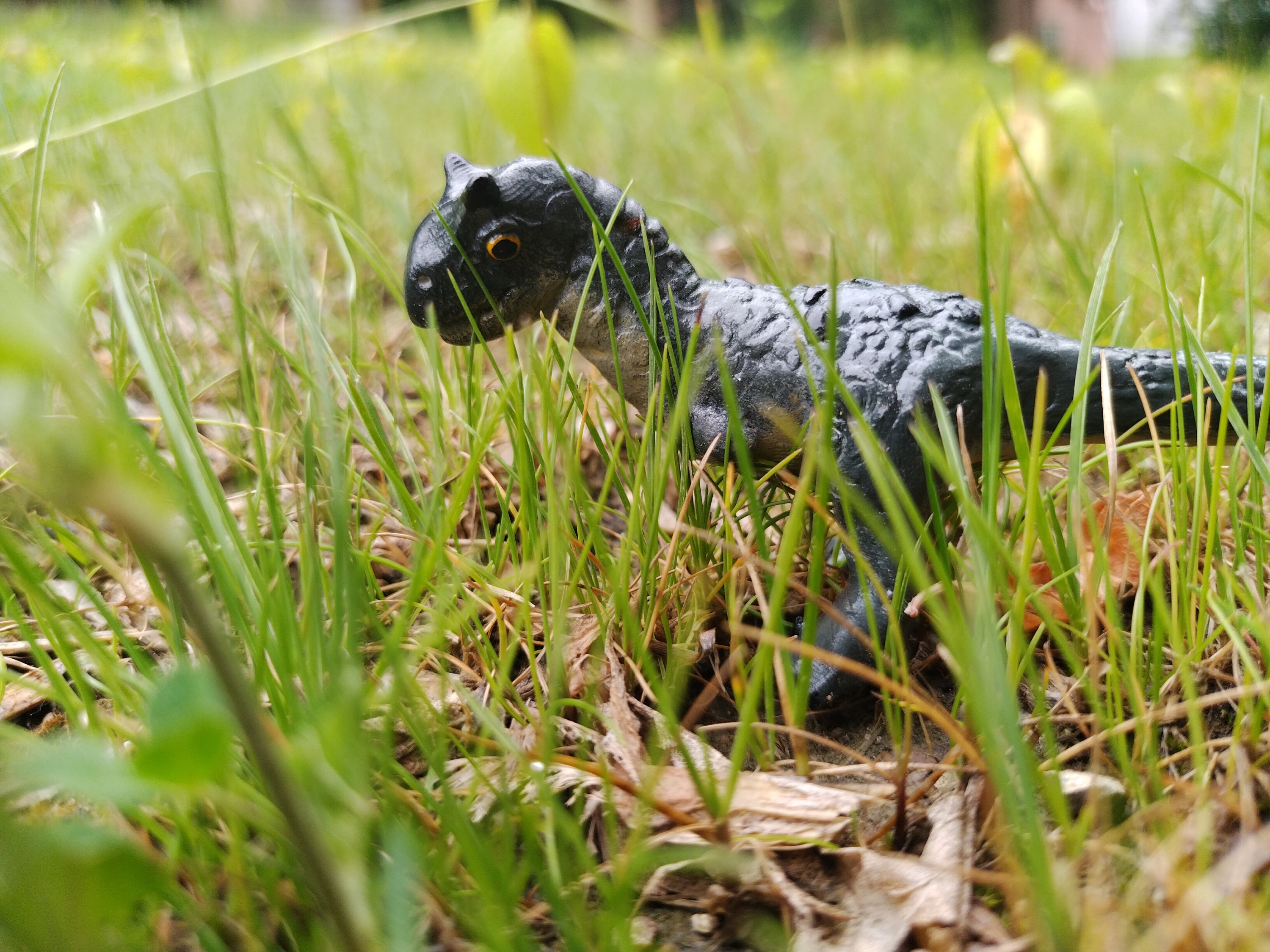 Gray Carnotaurus Sculpture | Clay Dinosaur Sculpture - Etsy