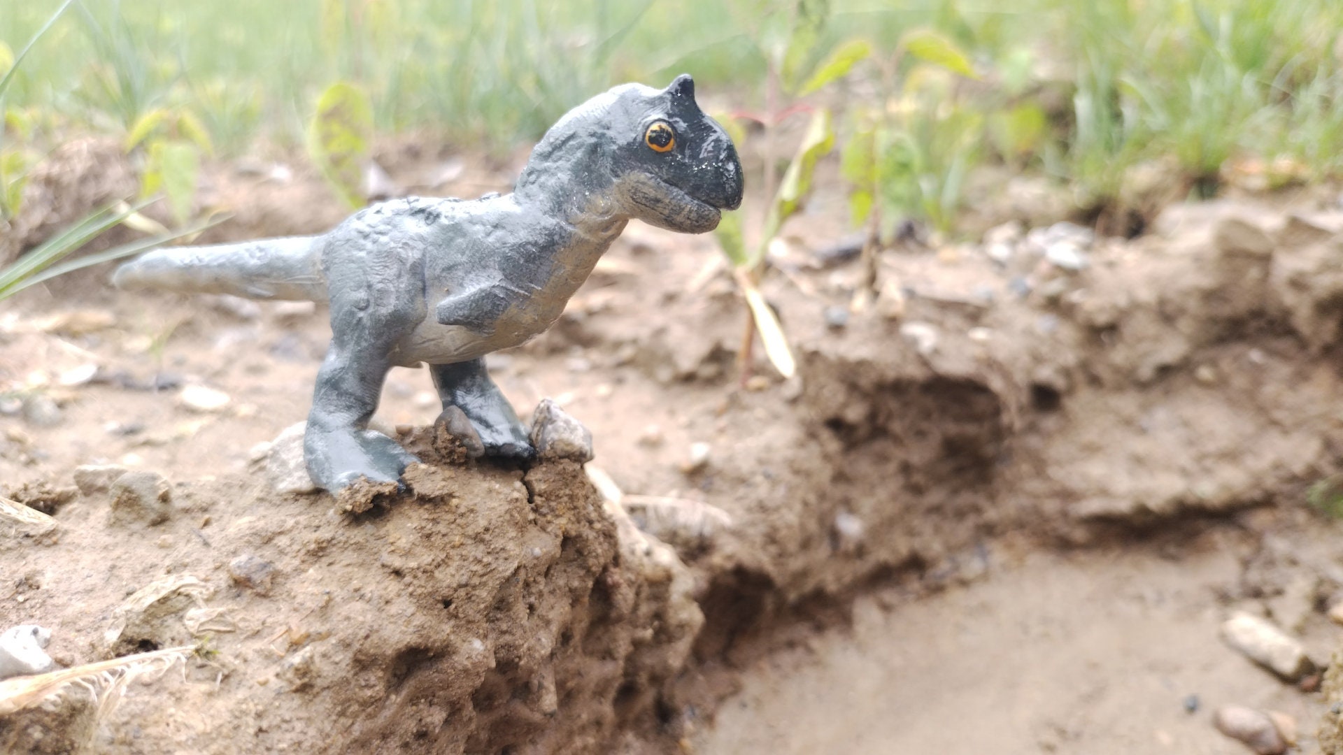 Gray Carnotaurus Sculpture | Clay Dinosaur Sculpture - Etsy