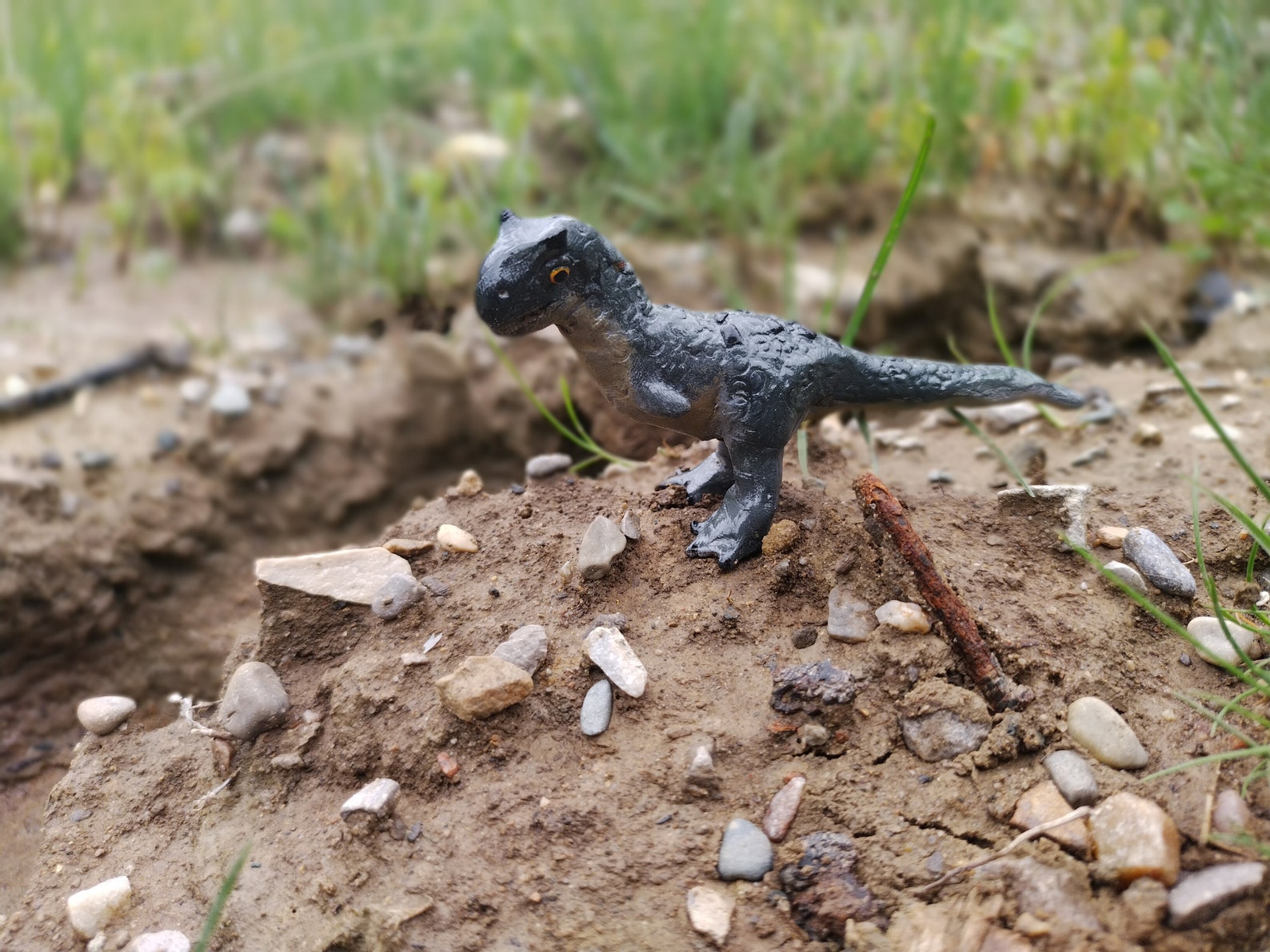 Gray Carnotaurus Sculpture | Clay Dinosaur Sculpture - Etsy