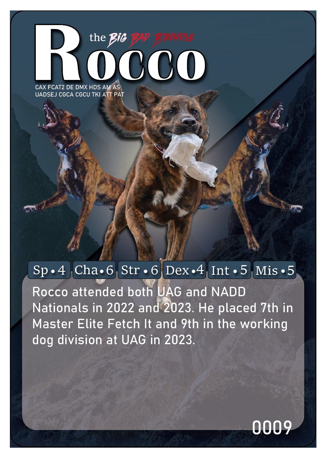 Set of 105 Custom Trading Cards, Sentimental Gift for Pet Parents, Dog ...