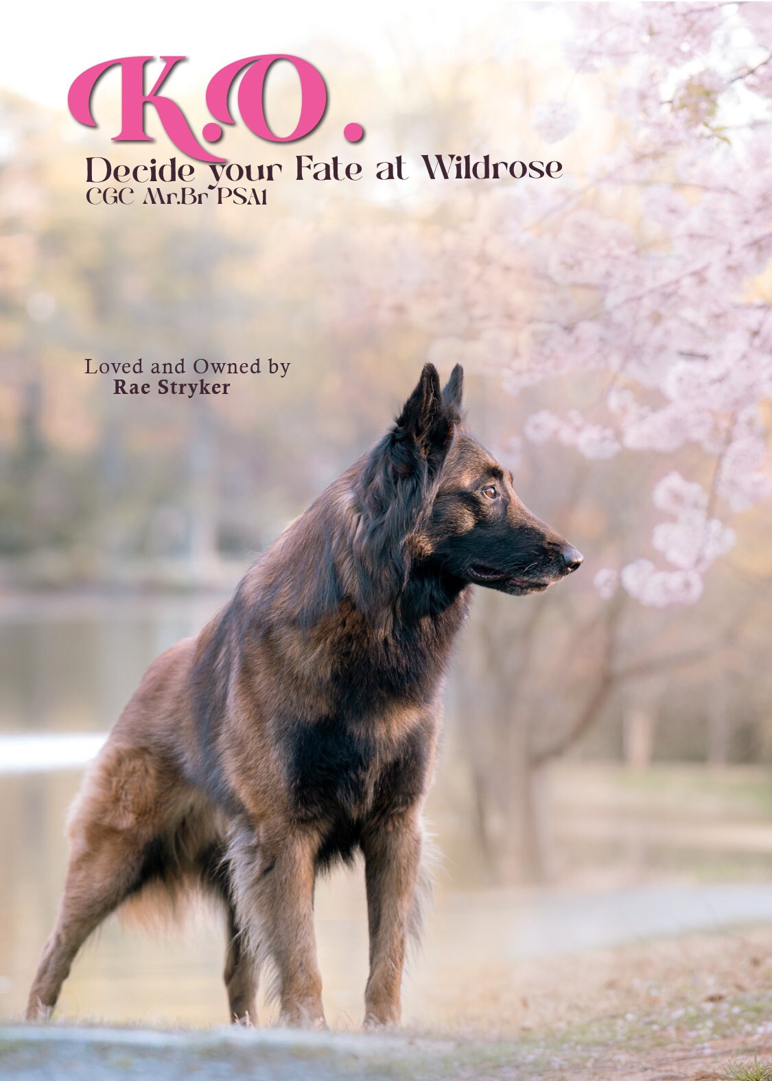 Set of 105 Custom Trading Cards, Sentimental Gift for Pet Parents, Dog ...