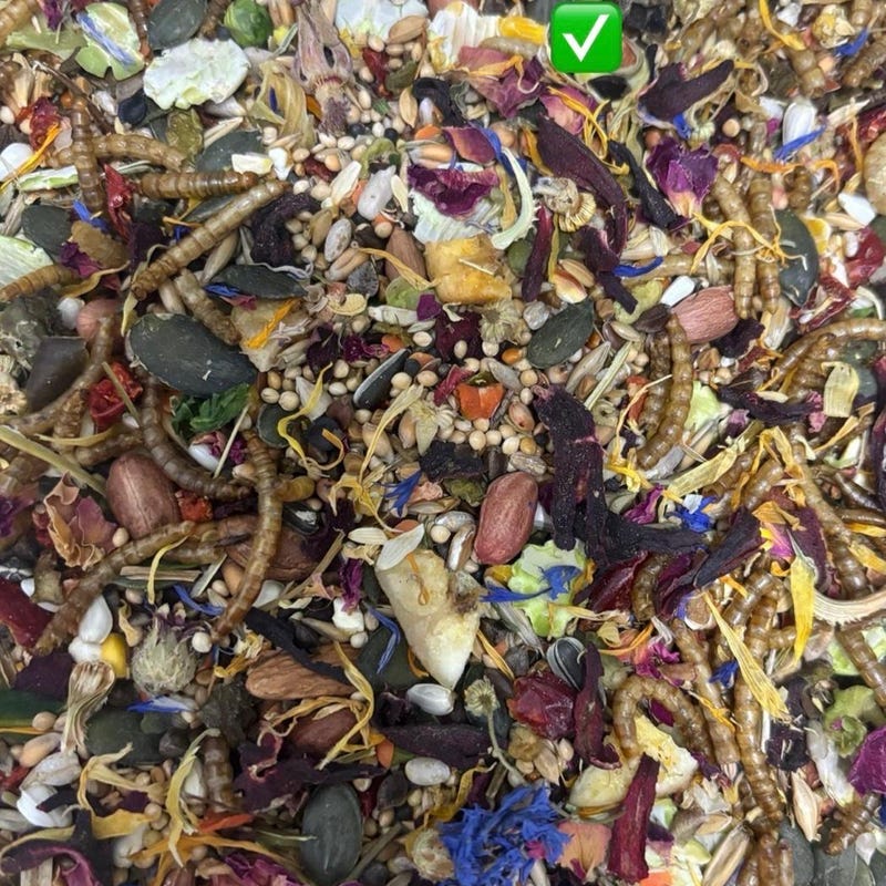 Food Mix Dwarf Hamster - Etsy UK