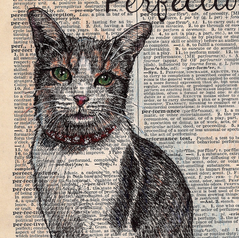Print: Cat "perfection" Dictionary Page, Print of Hand Drawn ...
