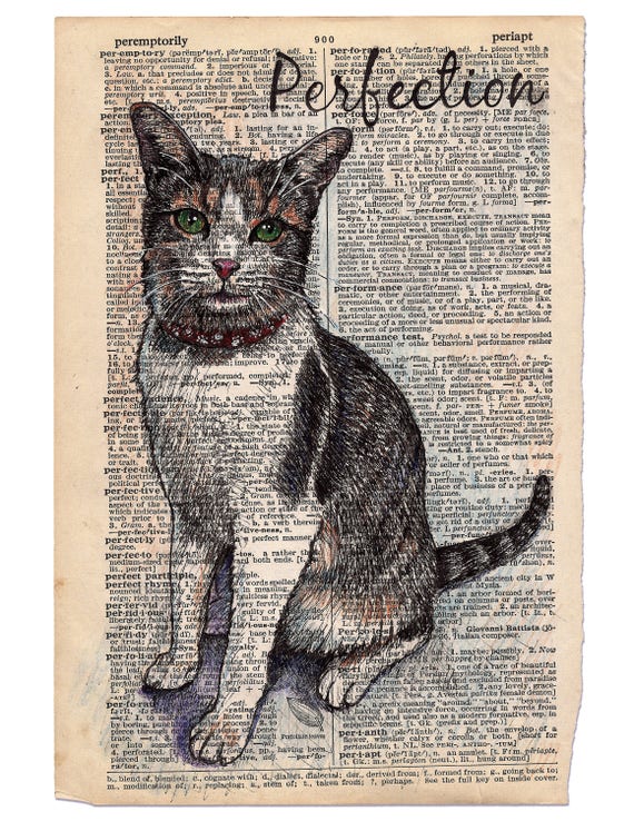 Print: Cat perfection Dictionary Page Print of | Etsy