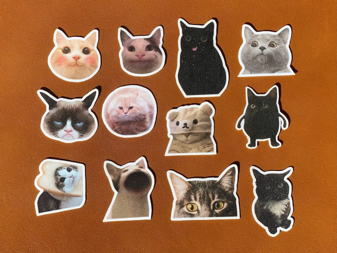 Meme Cat Stickers, With Lamination - Etsy