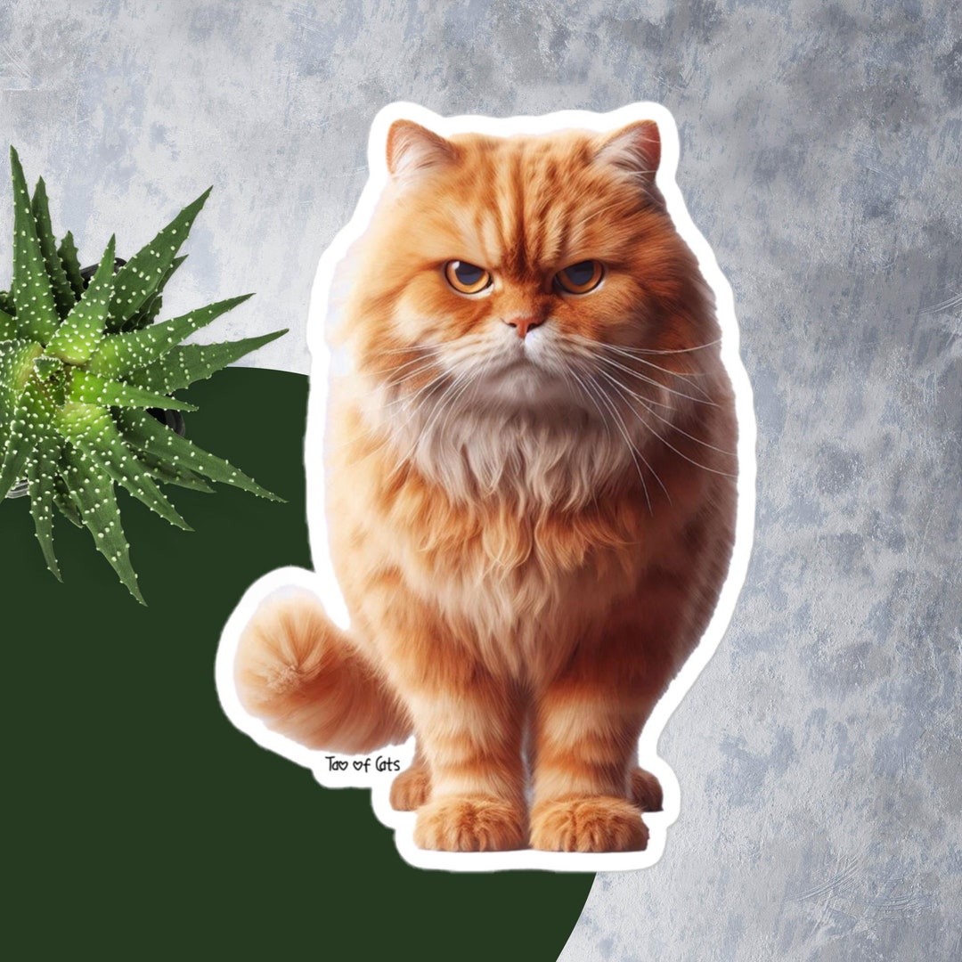 Snarky Orange Tabby Cat Sticker, Realistic Cat Sticker, Feisty Cat, Tom ...