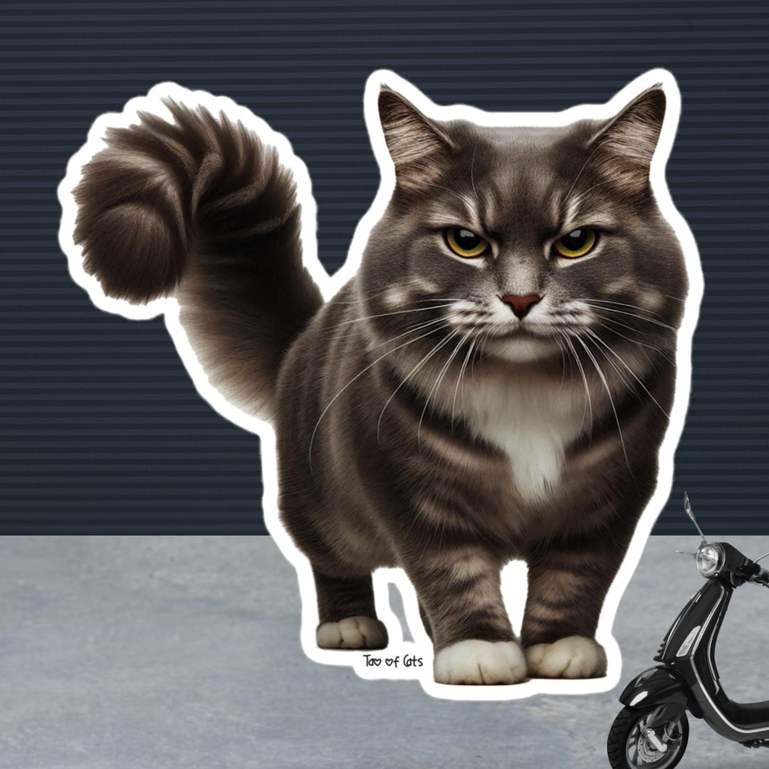 Sultry Tom Cat Sticker, Snarky Tabby Cat Sticker, Realistic Cat Sticker ...