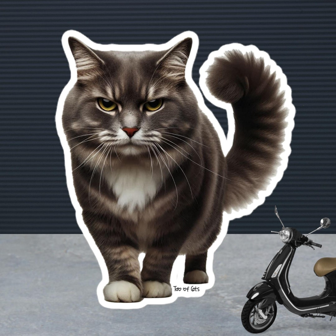 Tom Cat Sticker, Snarky Brown Tabby Cat Sticker, Realistic Cat Sticker ...