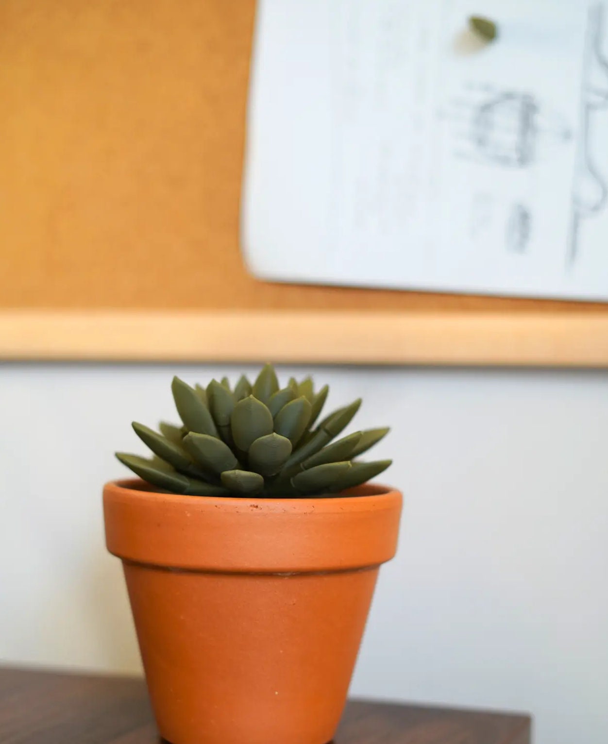 Push Pin Succulent by Forgecore | Home Decor | Office Decor | Dorm Room ...