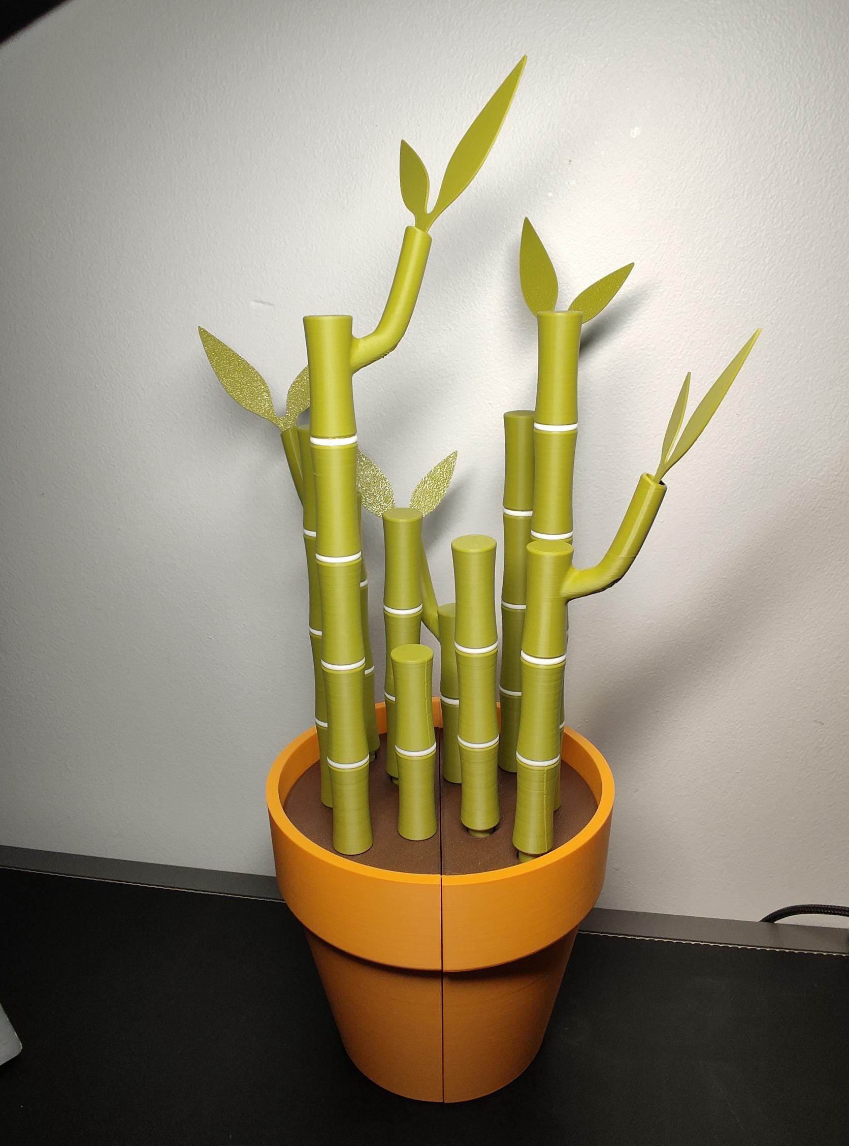 Bambookends by Forgecore | Bamboo | House Plant | Home Decor | Office ...