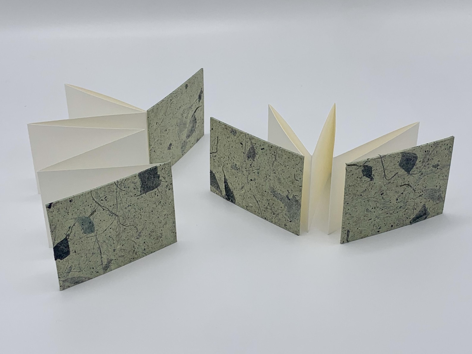Mini Accordion Book or Album // 3.125" X 2.25" // Botanical Decorative ...