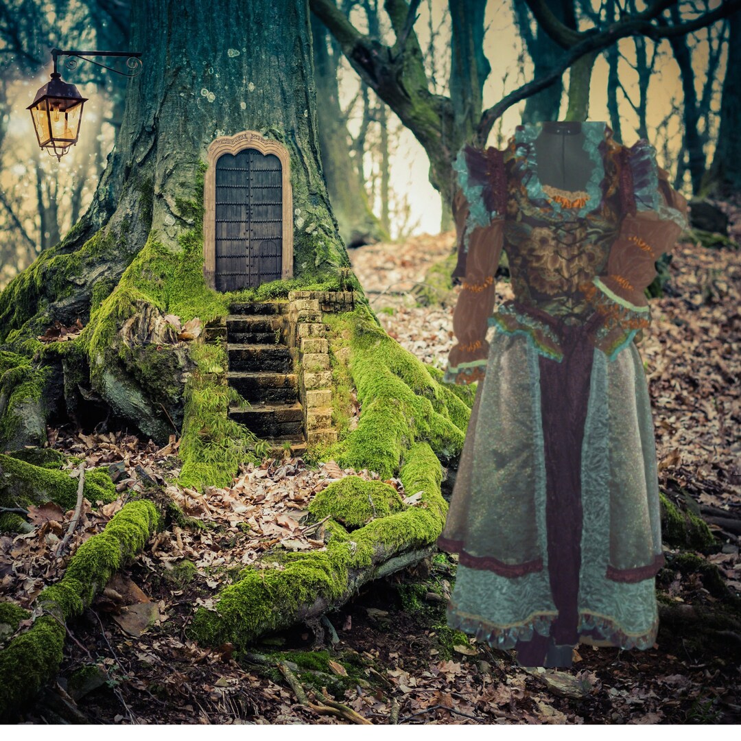 Ladies Fairy Costume, Ren Fest , Gypsy, Fairy ,renaissance Festival ...