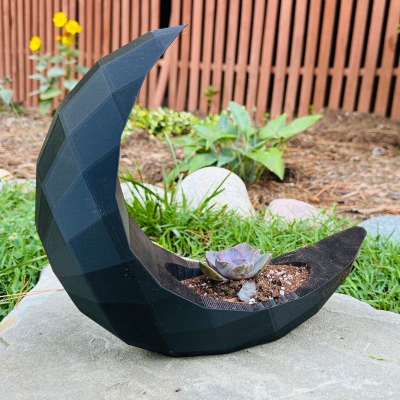 Moon Plant Pot - Etsy