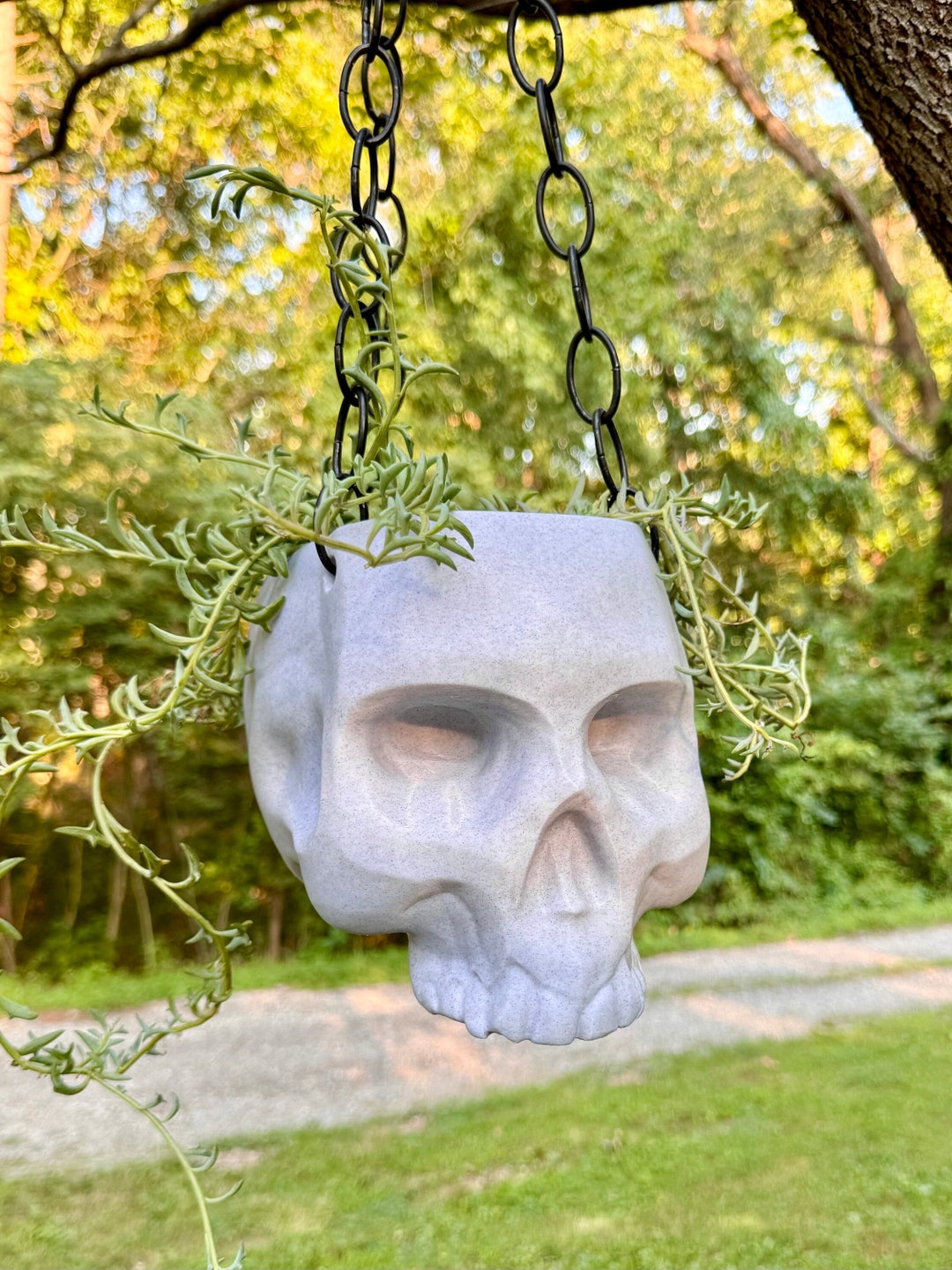 Hanging Skull Planter - Large Spooky Gothic Hanging Skull Plant Holder With Chains - Etsy