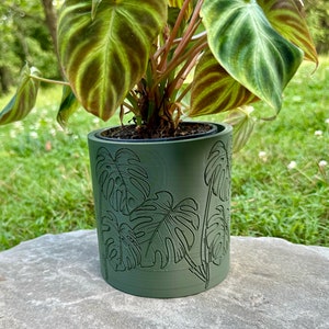 Monstera Design Planter With Twist off Drip Tray - Etsy