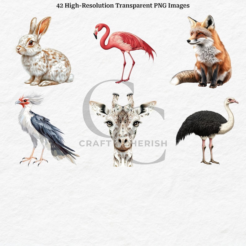 Safari Animal Clipart: 42 Vintage African Illustrations (PNG Digital ...