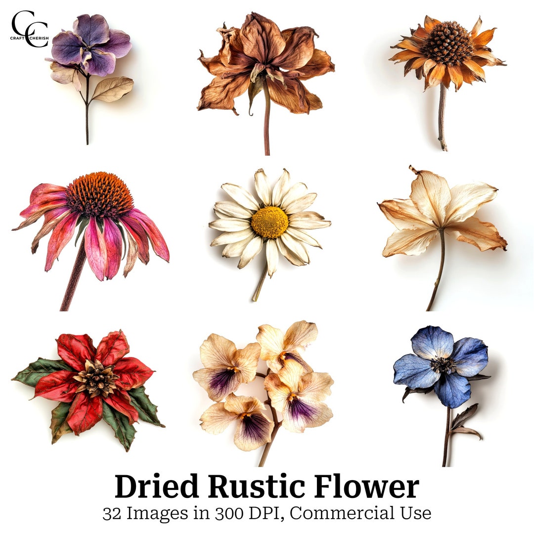 32 Dried Rustic Flower, Wildflower, Autumn Floral, Printable Images ...