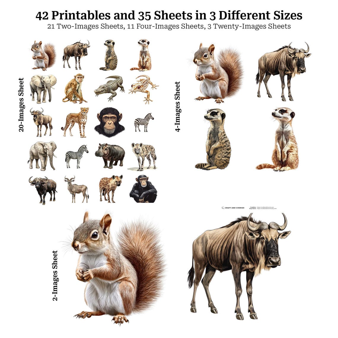 Safari Animal Clipart: 42 Vintage African Illustrations (PNG Digital ...
