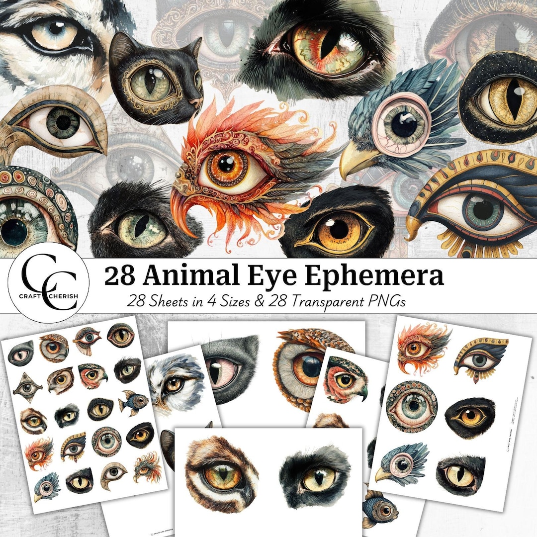 28 Animal Eyes Ephemera Art, Transparent Animal Eye PNG Clipart ...