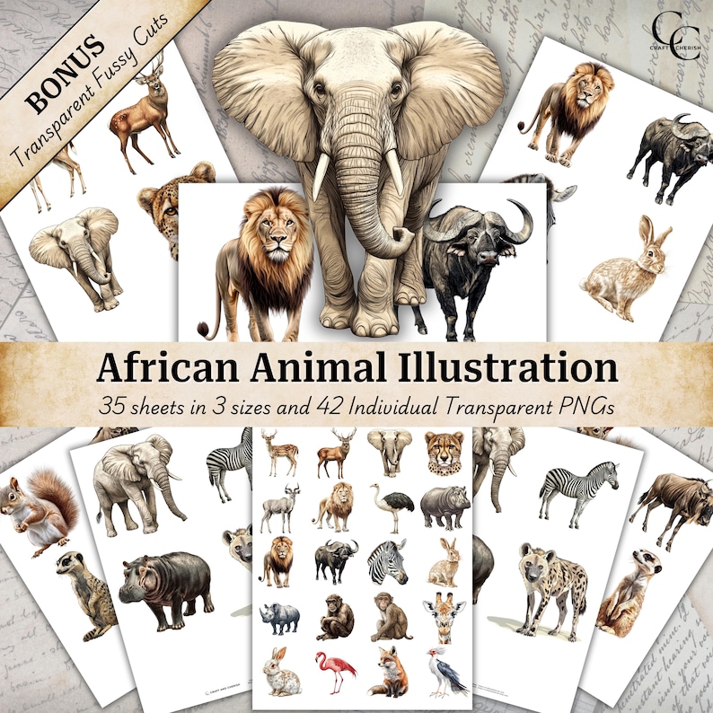 Safari Animal Clipart: 42 Vintage African Illustrations (PNG Digital ...