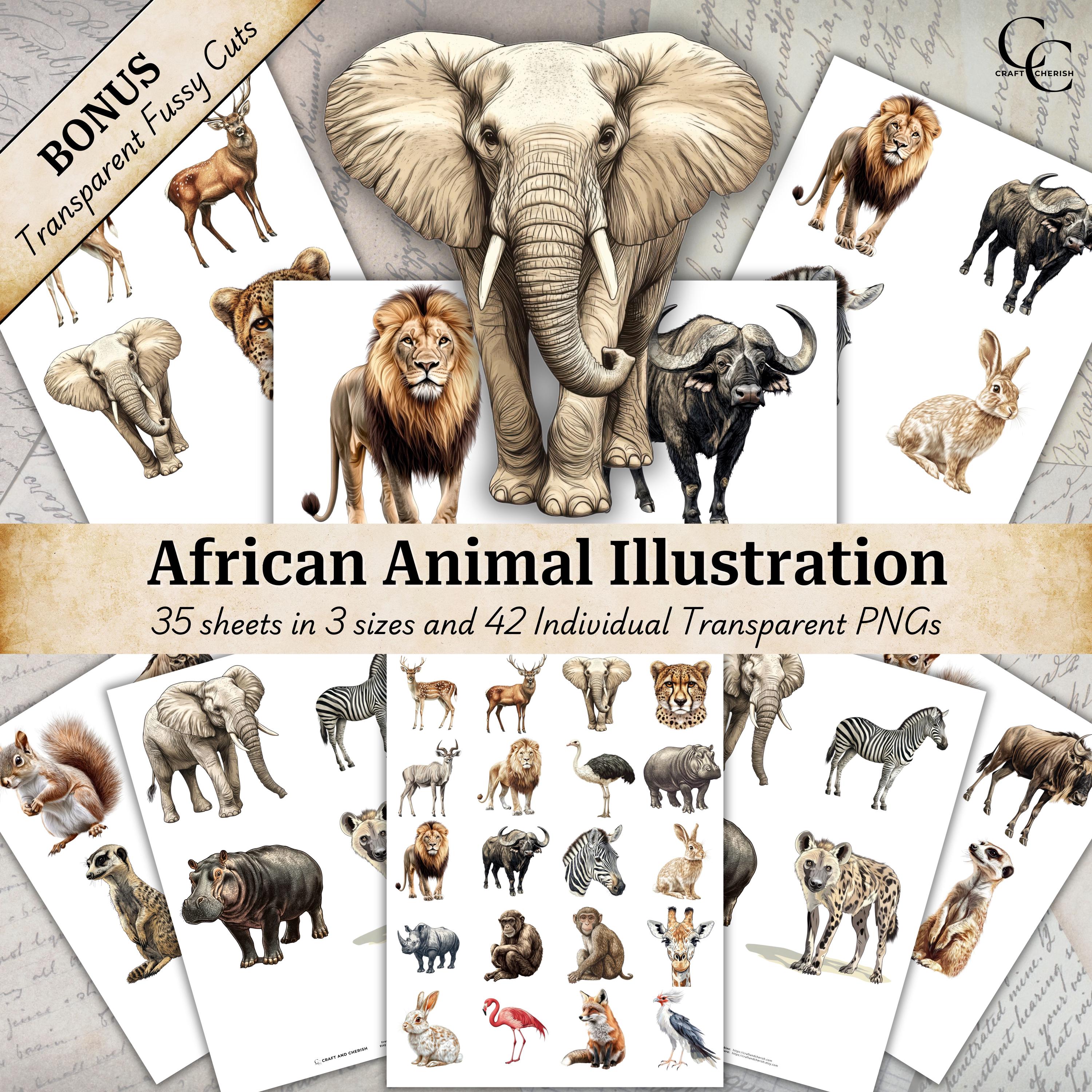 Safari Animal Clipart: 42 Vintage African Illustrations (PNG Digital ...