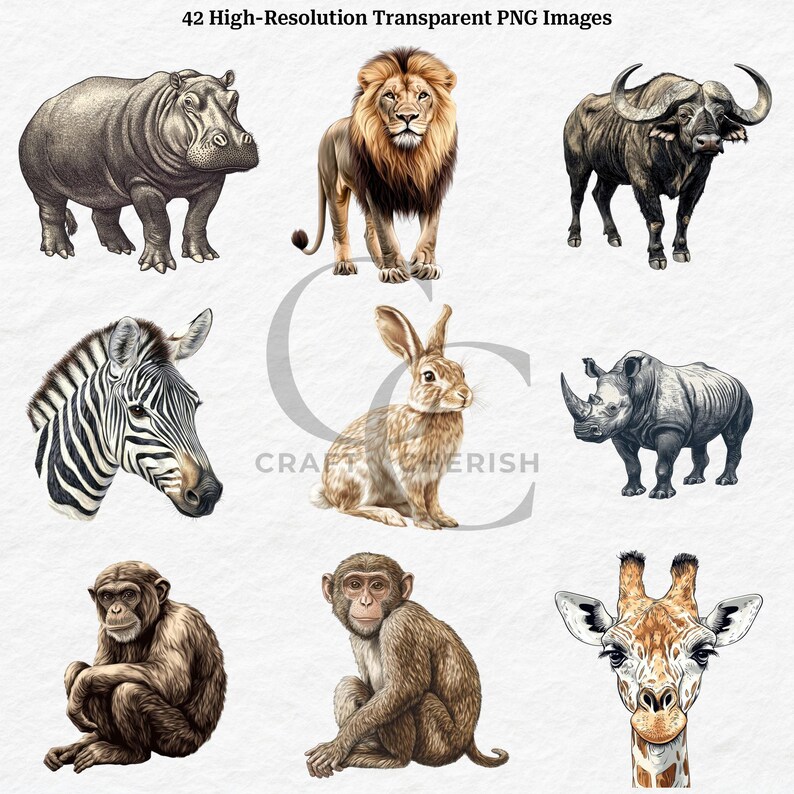 Safari Animal Clipart: 42 Vintage African Illustrations (PNG Digital ...