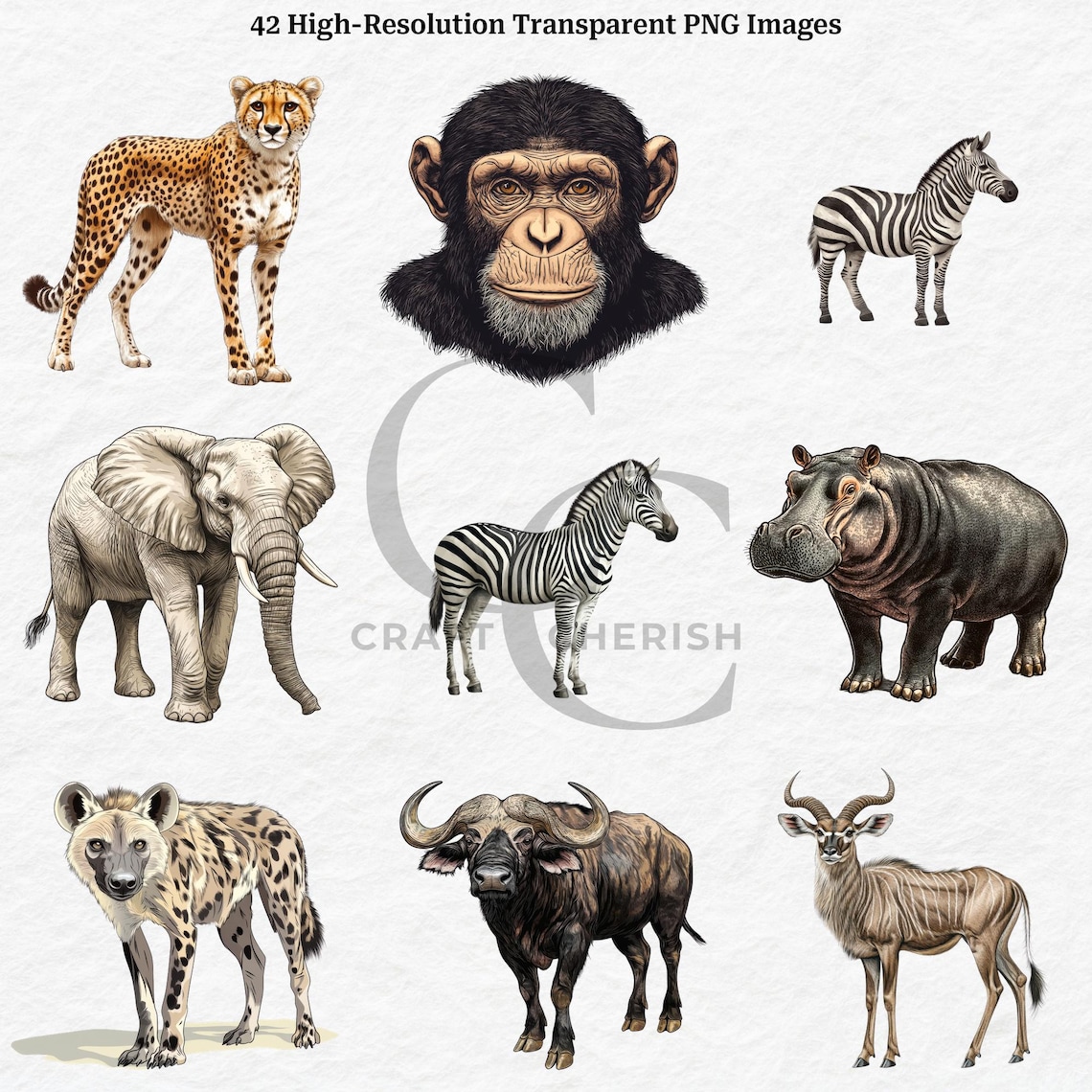 Safari Animal Clipart: 42 Vintage African Illustrations (PNG Digital ...