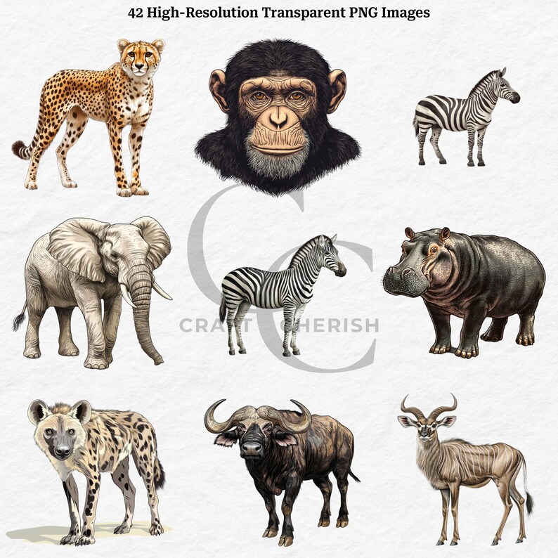 Safari Animal Clipart: 42 Vintage African Illustrations (PNG Digital ...