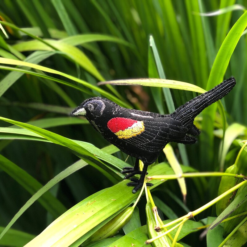 Redwing Blackbird Embroidery - Etsy