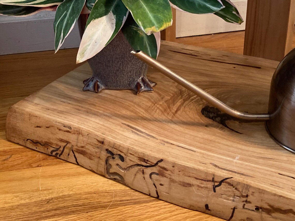 Modular Elm & Maple Plant Stand – Customizable Shelf System With ...