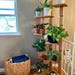 Modular Elm & Maple Plant Stand – Customizable Shelf System With ...
