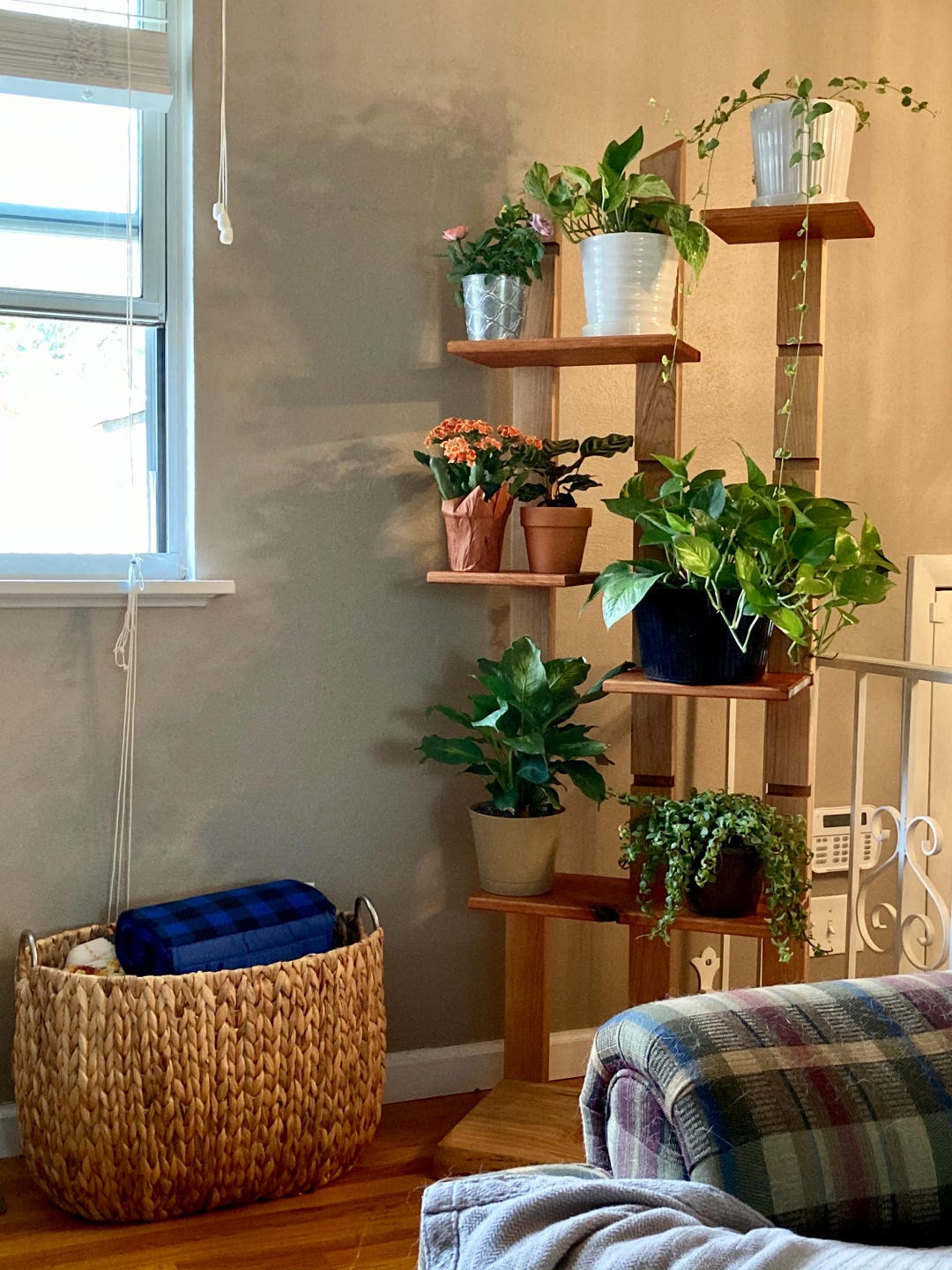 Modular Elm & Maple Plant Stand – Customizable Shelf System With ...