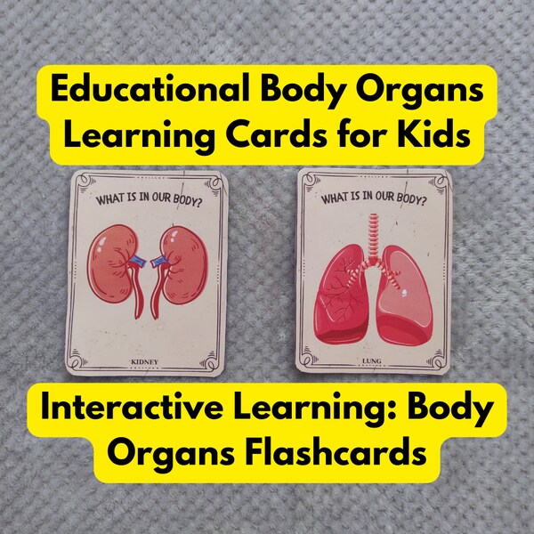 Anatomy Flashcards - Etsy