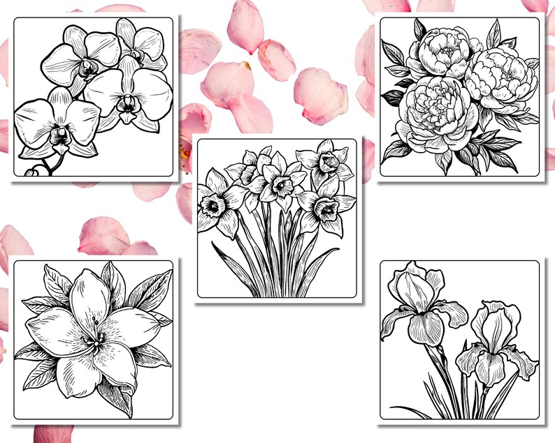 25 Assorted Flower Coloring Pages, Relaxing Adult Coloring, Assorted ...