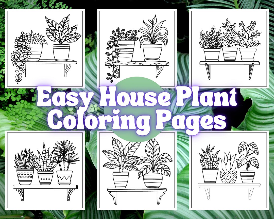 60 Easy House Plant Coloring Pages, Relaxing Coloring Activity ...