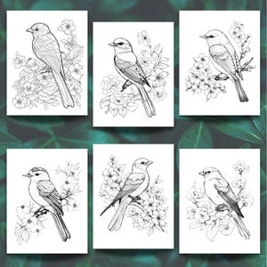 30 Bird and Floral Coloring Pages | Elegant Designs for Relaxation ...