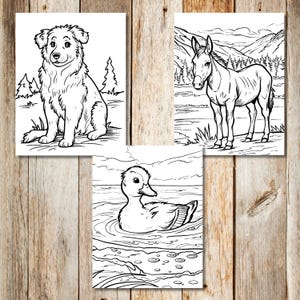 15 Farm Animals Coloring Pages, Printable Coloring Sheets, Homestead ...