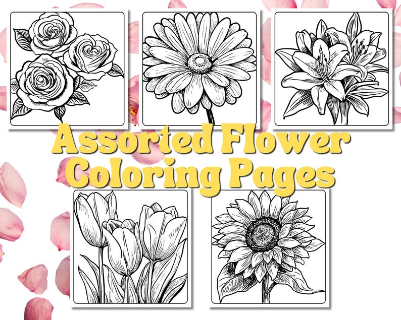 25 Assorted Flower Coloring Pages, Relaxing Adult Coloring, Assorted ...