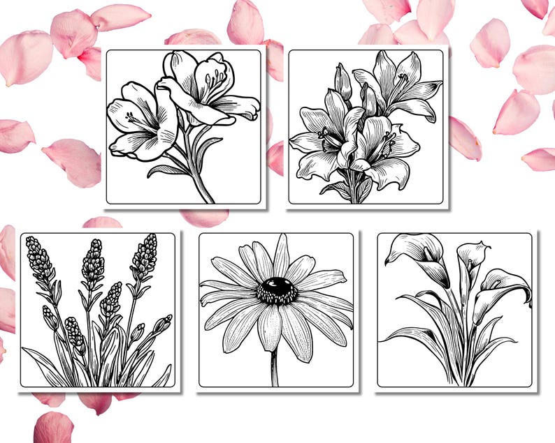 25 Assorted Flower Coloring Pages, Relaxing Adult Coloring, Assorted ...