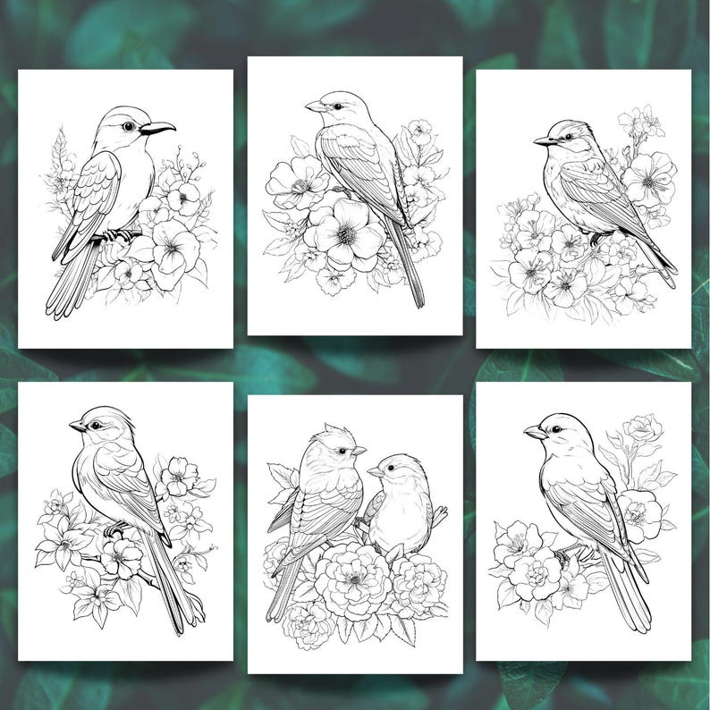 30 Bird and Floral Coloring Pages | Elegant Designs for Relaxation ...