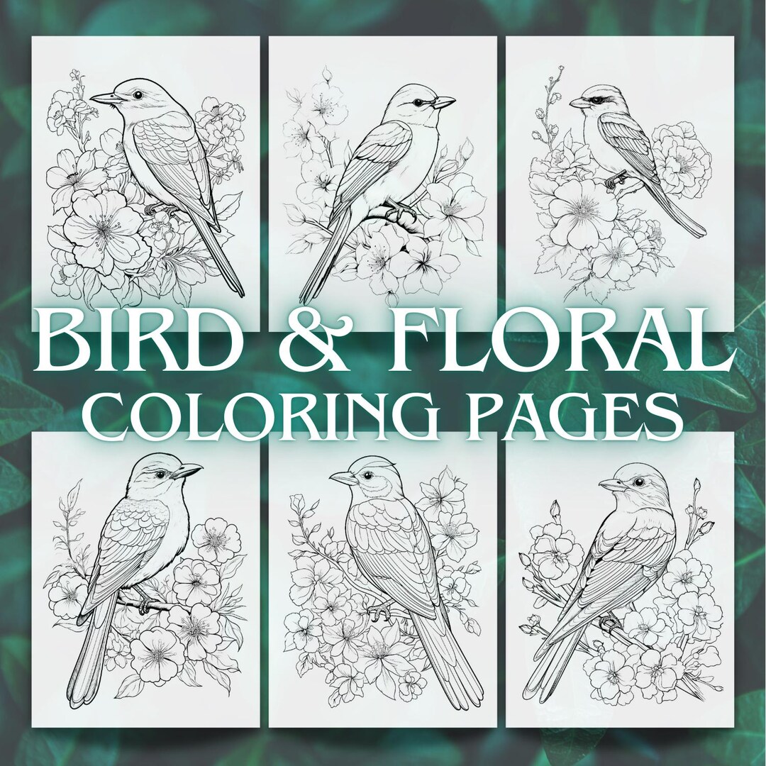 30 Bird and Floral Coloring Pages | Elegant Designs for Relaxation ...