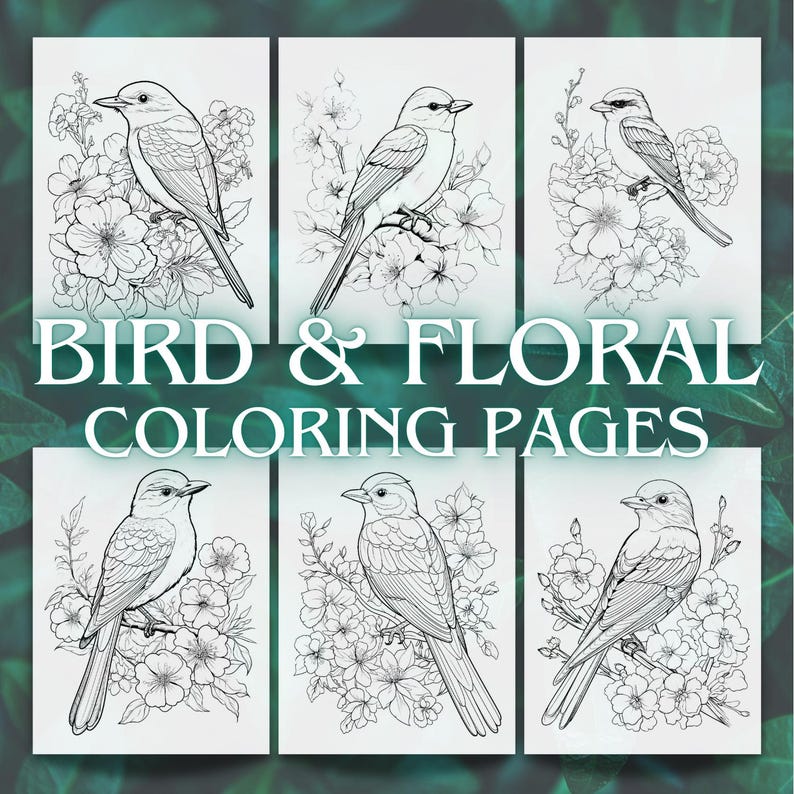 30 Bird and Floral Coloring Pages | Elegant Designs for Relaxation ...