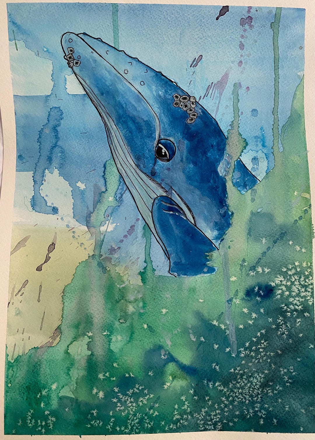 Humback Whale With Barnacles Original Watercolor Painting - Etsy